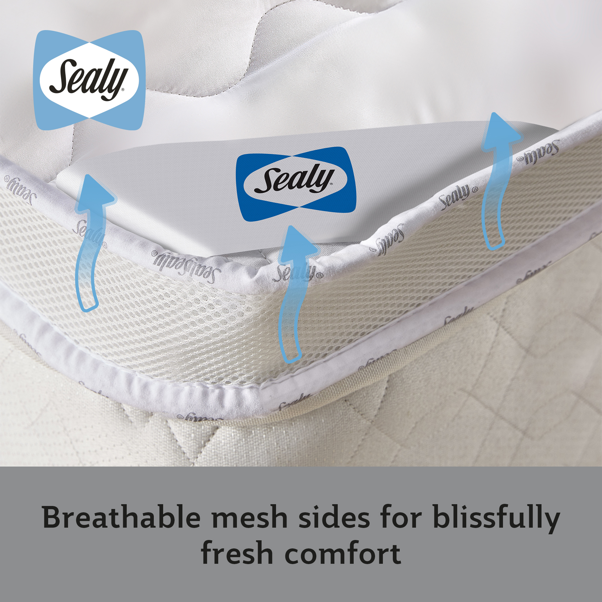 Sealy Deeply Full Topper | Trade E-Bedding