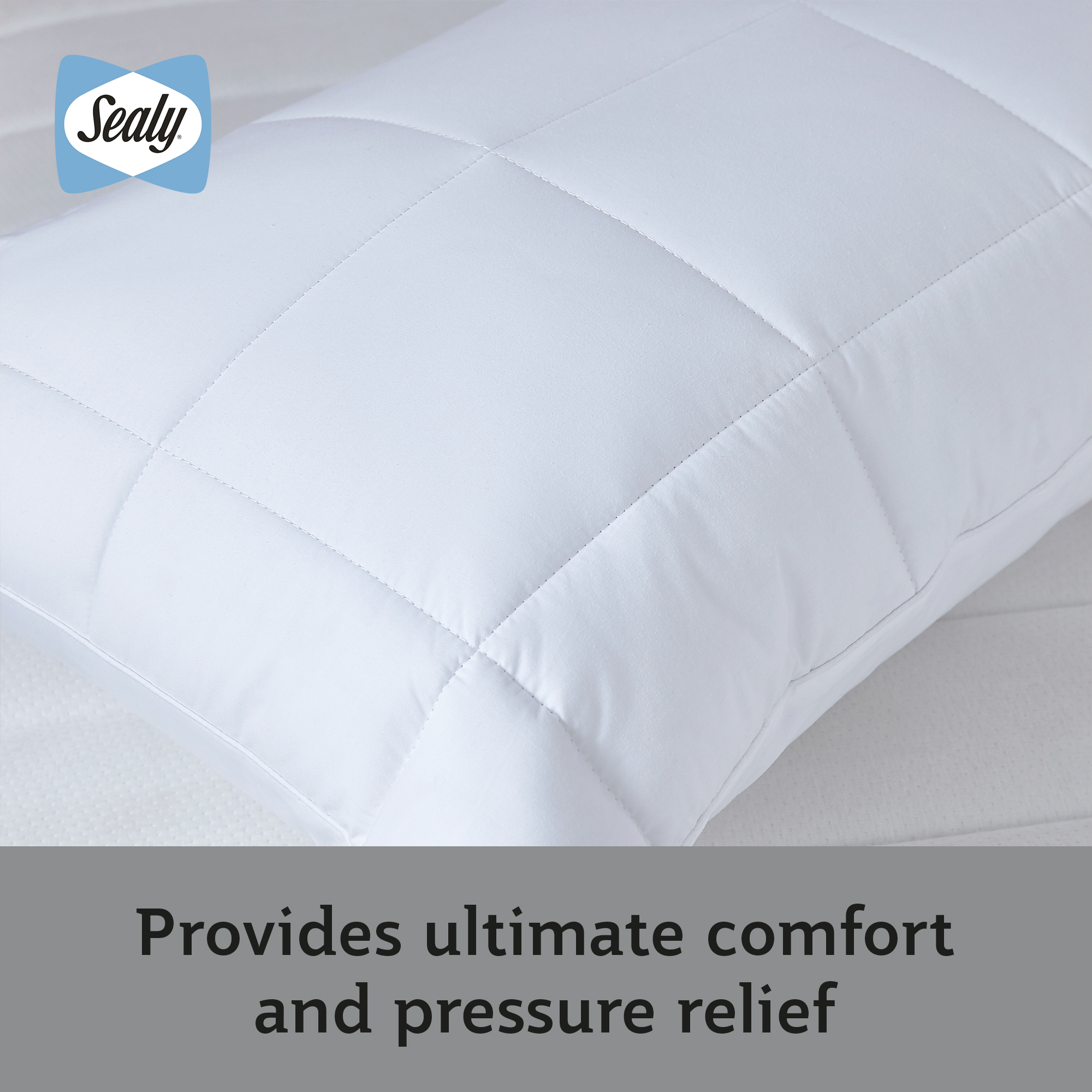 Sealy Side Sleeper Pillow - 2 Pack | Trade E-Bedding